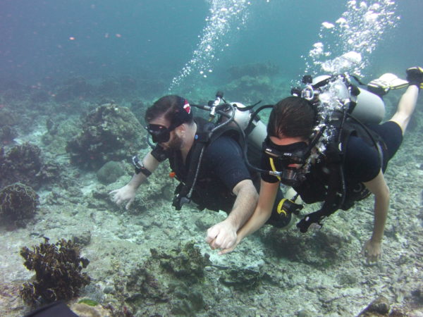 Private Dive Guide | 6 good reasons to have a private guide